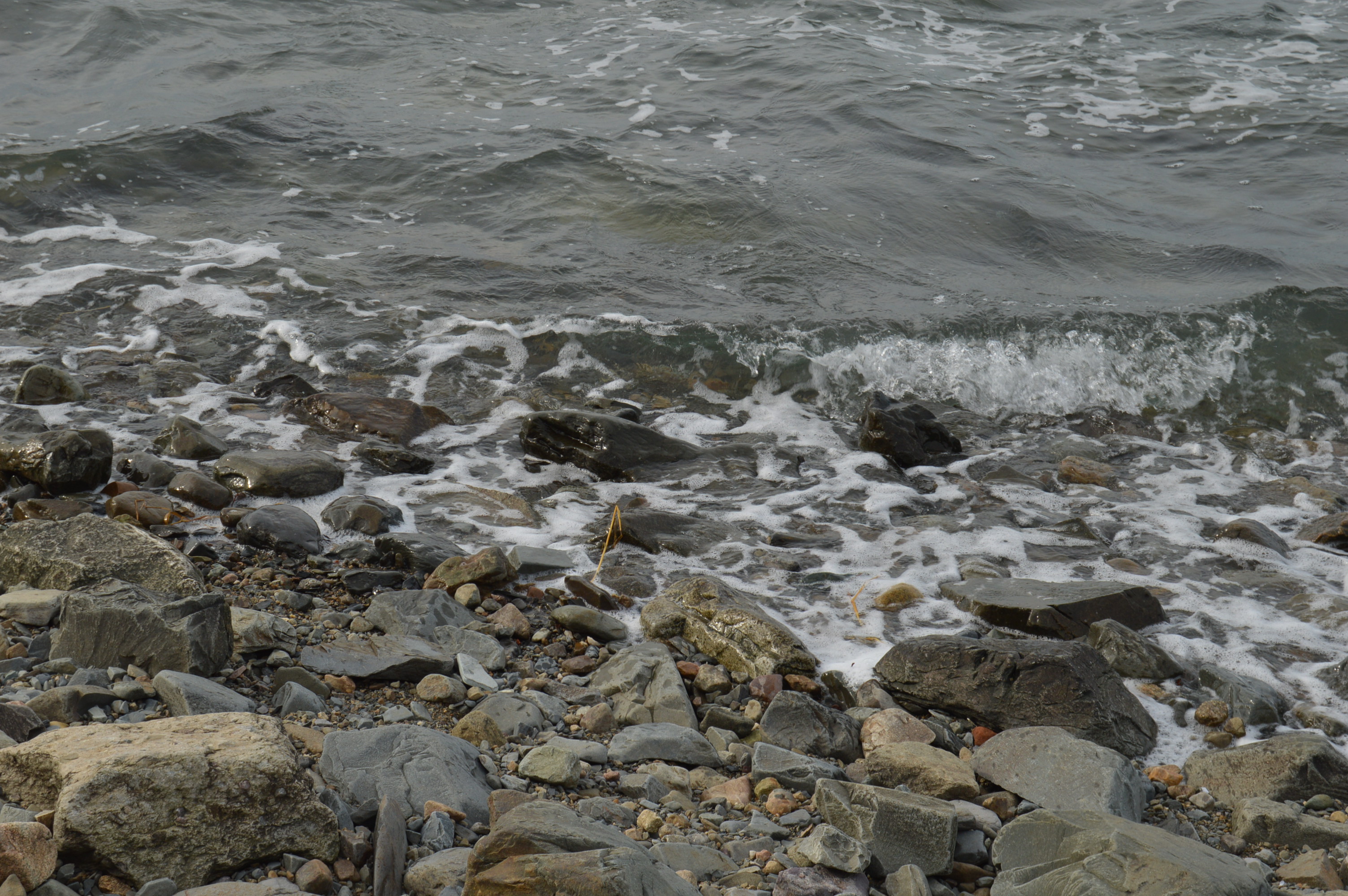 Webb Memorial State Park (Weymouth, MA) | New England Nomad