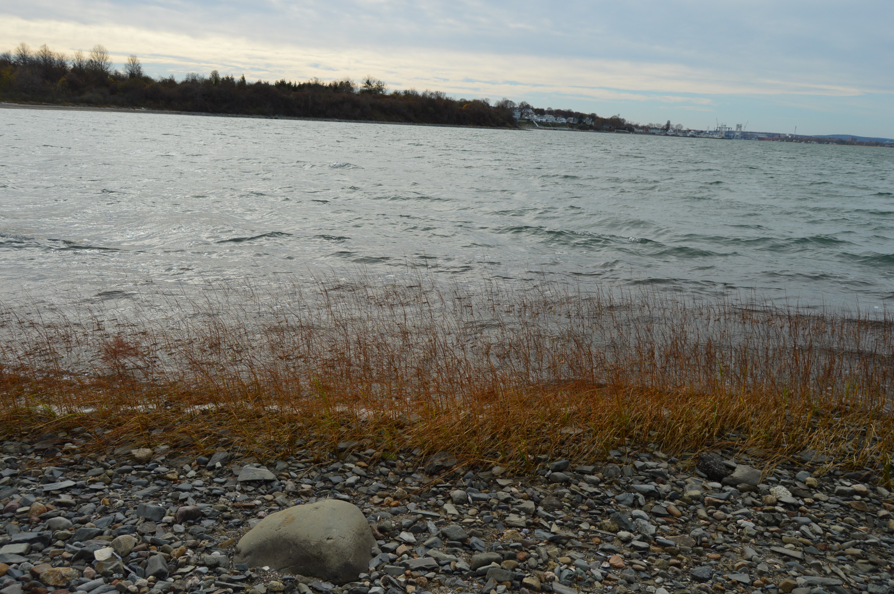 Webb Memorial State Park (Weymouth, MA) | New England Nomad