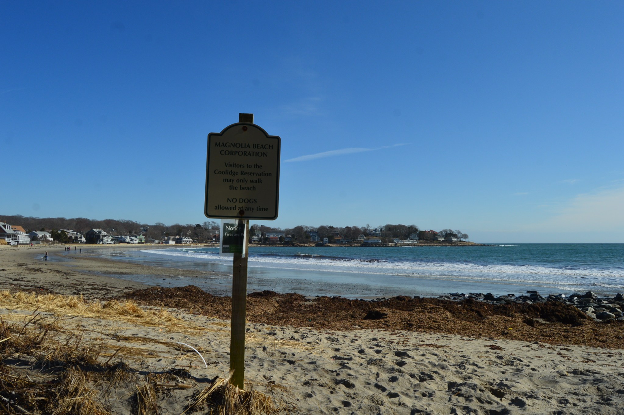 Magnolia Beach (Manchester-By-The-Sea, MA) | New England Nomad