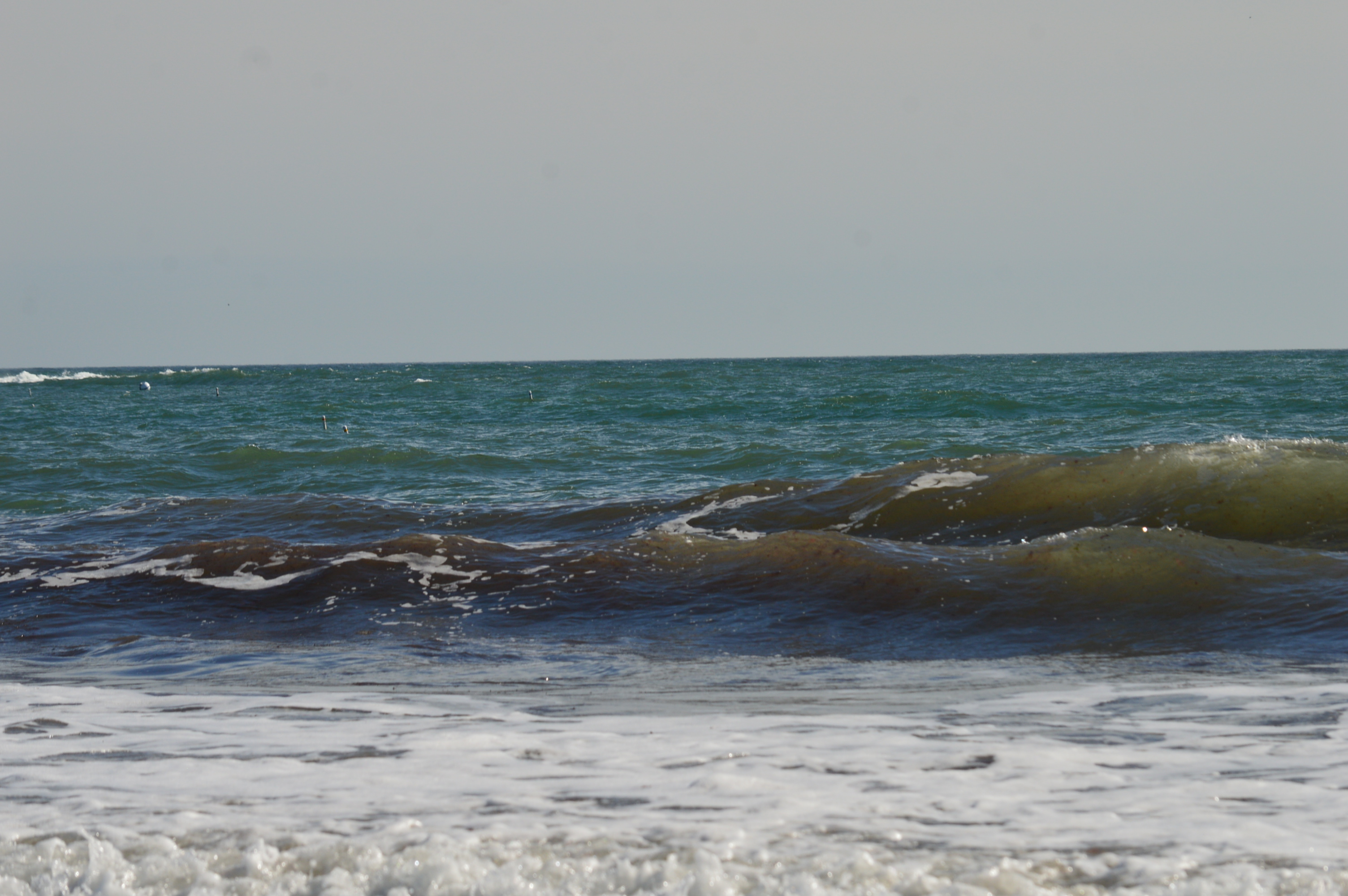 Magnolia Beach (Manchester-By-The-Sea, MA) | New England Nomad