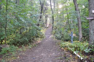 Breakheart Reservation (Saugus, MA) | New England Nomad