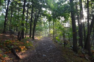 Breakheart Reservation (Saugus, MA) | New England Nomad