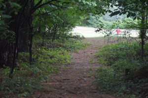 Breakheart Reservation (Saugus, MA) | New England Nomad