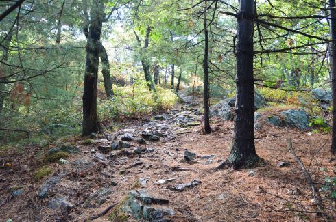 Breakheart Reservation (Saugus, MA) | New England Nomad