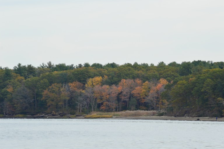 Goddard Memorial State Park | New England Nomad