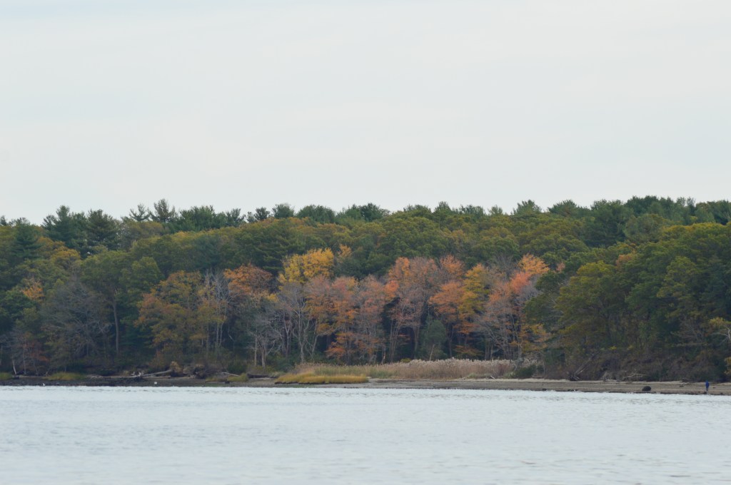 Goddard Memorial State Park | New England Nomad