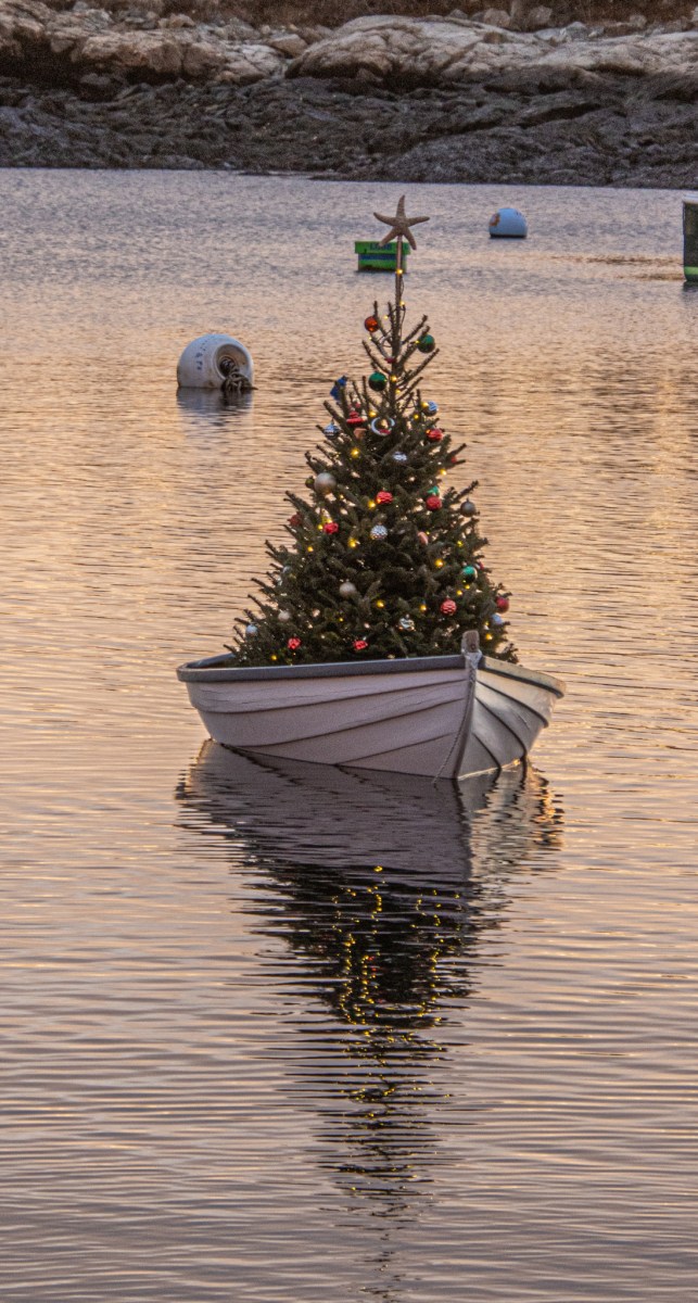 First Harbor Company Christmas Tree | New England Nomad